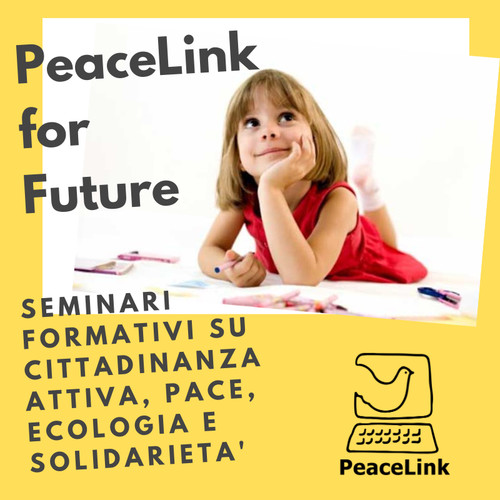 PeaceLink Webinars